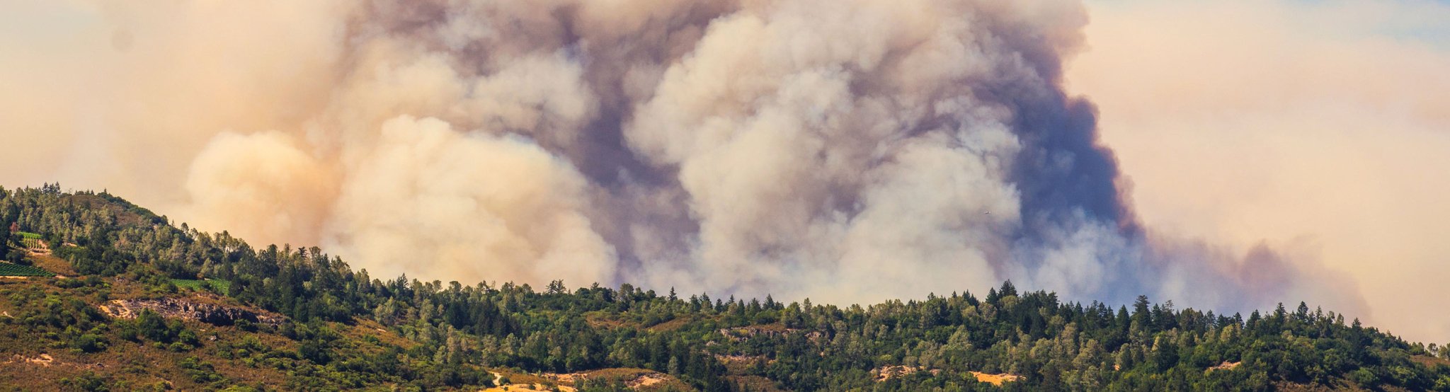 A Word on Wildfires and Prevention