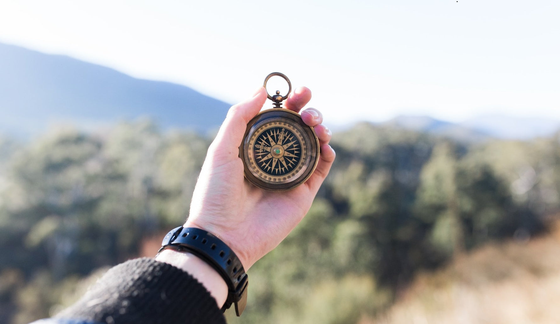 Basic Navigation: Finding Your Way in the Wild