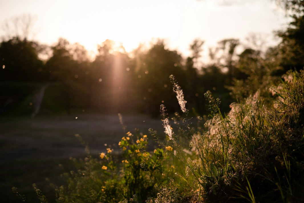 Running with Ease: How to Stop Seasonal Allergies from Derailing Your